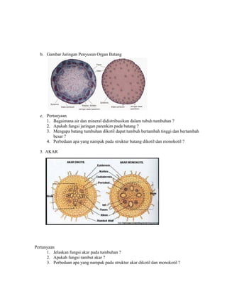 LKPD ORGAN PADA TUMBUHAN- BIOLOGI- XI- SMA- RATNA YULLY P.docx