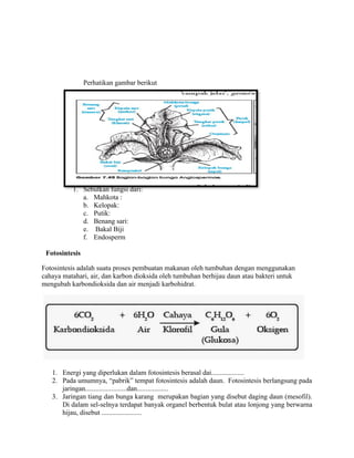 LKPD ORGAN PADA TUMBUHAN- BIOLOGI- XI- SMA- RATNA YULLY P.docx