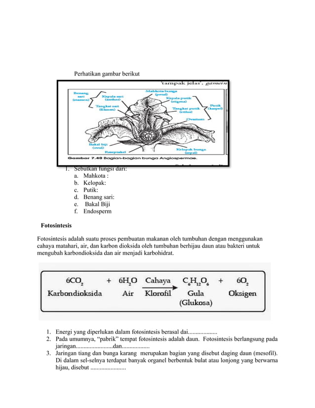 LKPD ORGAN PADA TUMBUHAN- BIOLOGI- XI- SMA- RATNA YULLY P.docx
