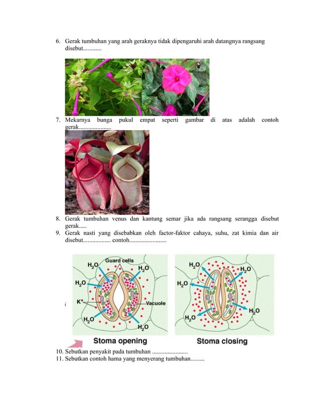 LKPD ORGAN PADA TUMBUHAN- BIOLOGI- XI- SMA- RATNA YULLY P.docx