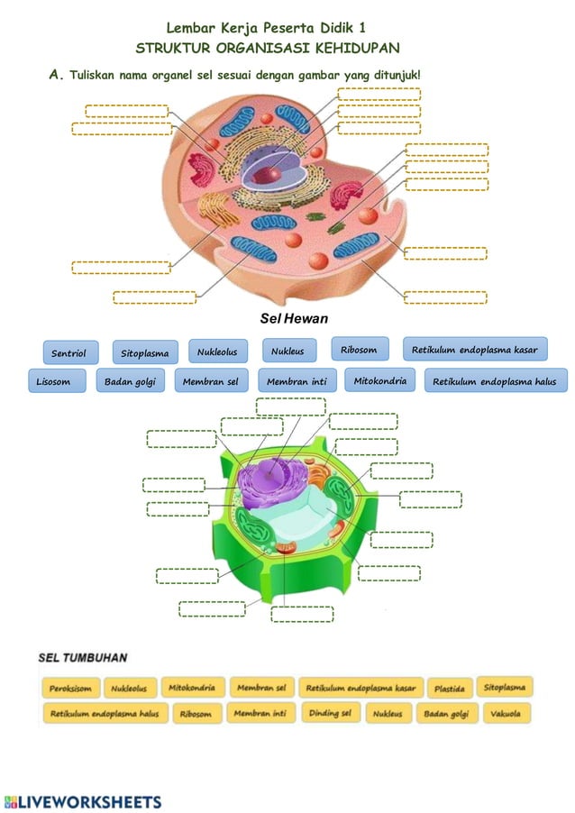 Lkpd sel unit kehidupan