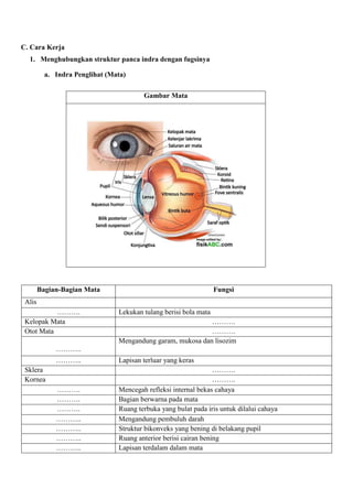 LKPD Sistem Indra.docx