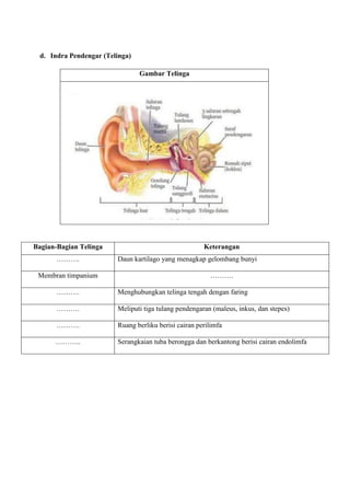 LKPD Sistem Indra.docx