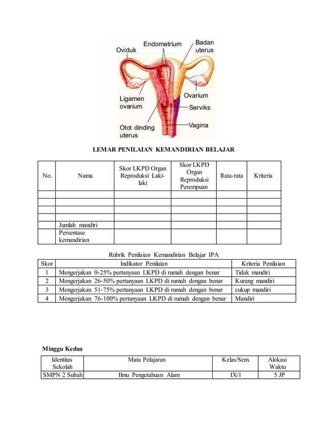 LKPD SISTEM REPRODUKSI.docx