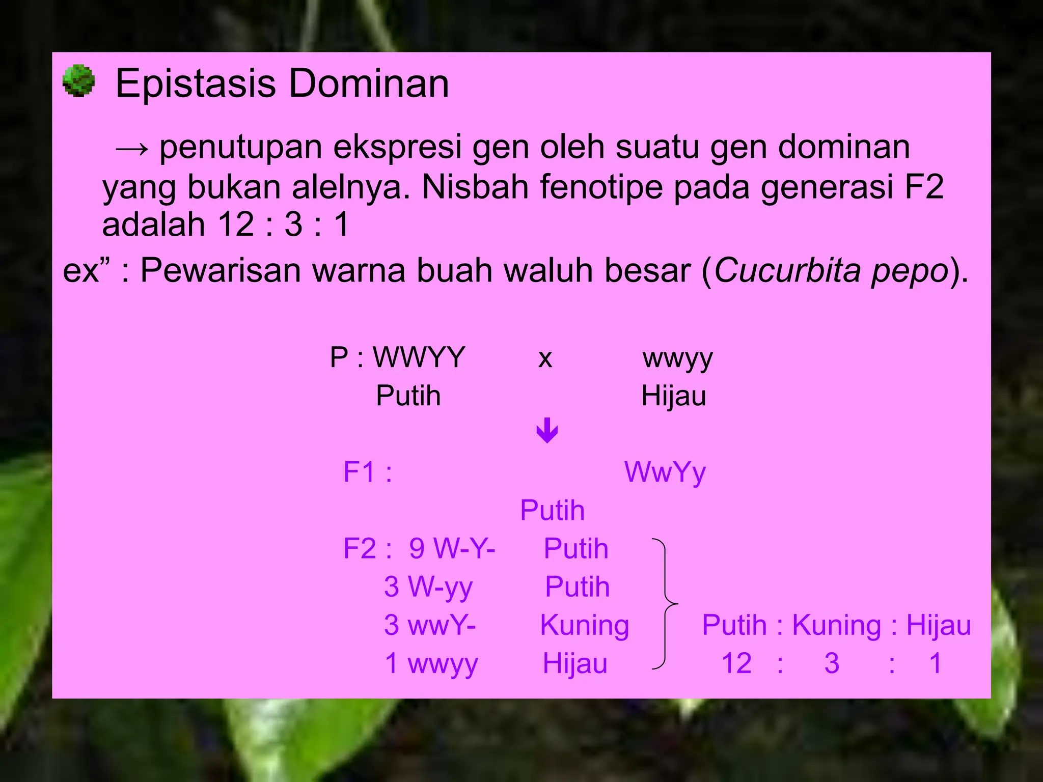 dasar-dasar-pewarisan-mendel-dasar-dasar-pewarisan-mendel.ppt