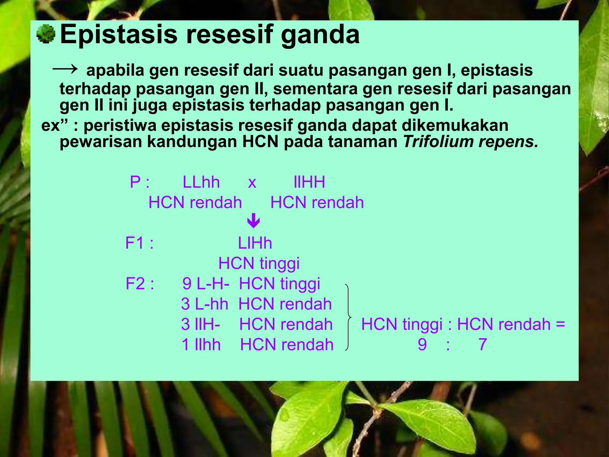 dasar-dasar-pewarisan-mendel-dasar-dasar-pewarisan-mendel.ppt
