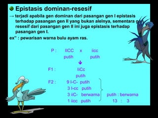 dasar-dasar-pewarisan-mendel-dasar-dasar-pewarisan-mendel.ppt