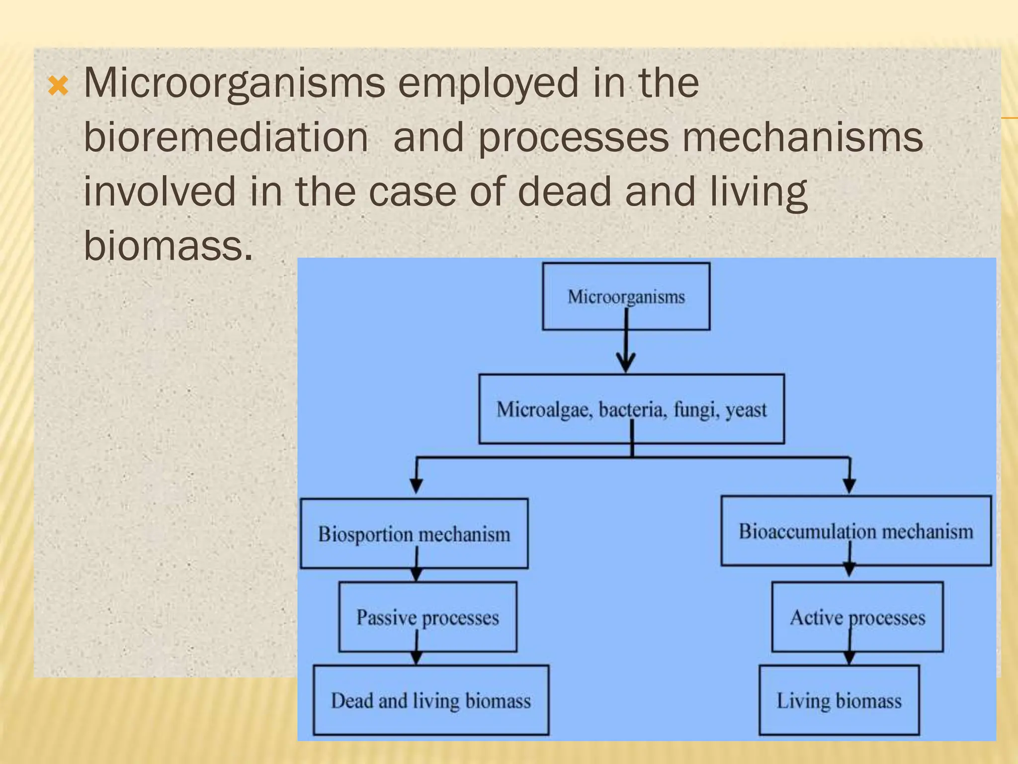 The Role of Microorganism in Bioremediation | PPT