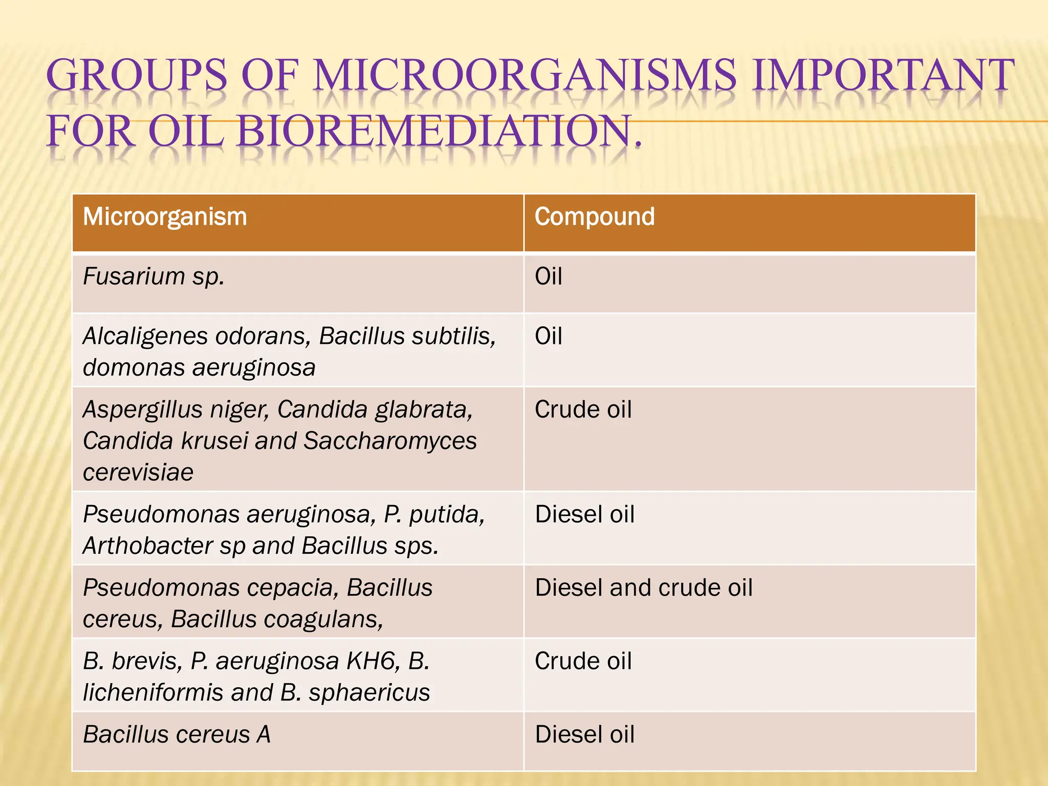 The Role of Microorganism in Bioremediation | PPT
