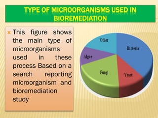 The Role of Microorganism in Bioremediation | PPT