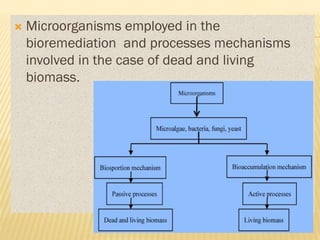 The Role of Microorganism in Bioremediation | PPT