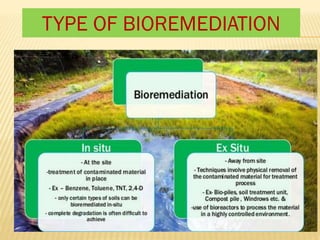 The Role of Microorganism in Bioremediation | PPT