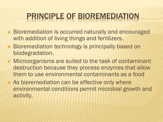 The Role of Microorganism in Bioremediation | PDF