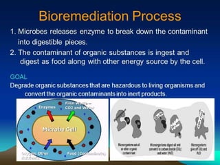The Role of Microorganism in Bioremediation | PPT