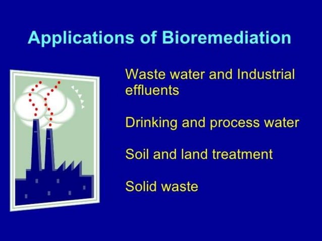 The Role of Microorganism in Bioremediation | PPT