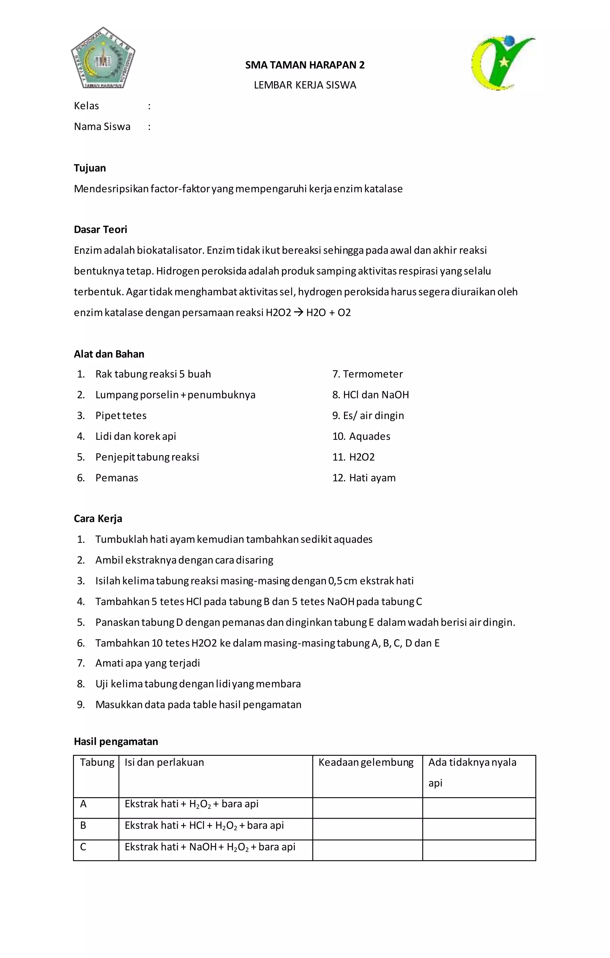 LKS enzim katalase.docx