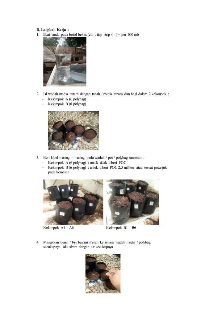 Lks faktor eksternal pertumbuhan dan perkembangan kelas 12 | PDF