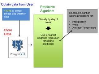 LKS Final Insight Project Presentation | PPT