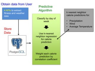 LKS Final Insight Project Presentation | PPT