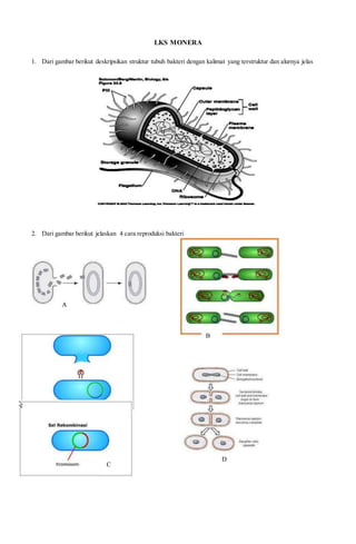 Lks Peranan Monera | PDF