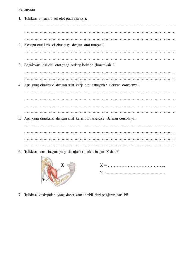 Lks sistem gerak manusia | DOCX