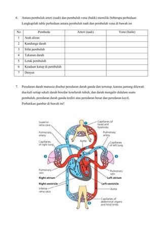 LKS_SISTEM_PEREDARAN_DARAH.docx