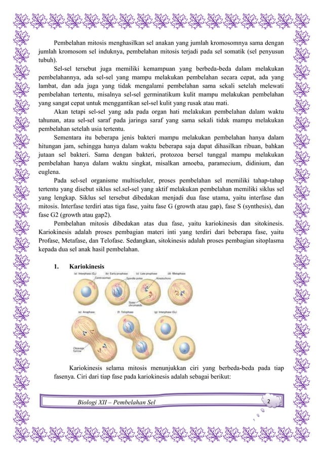 Lks wesi -pembelahan sel- | DOCX