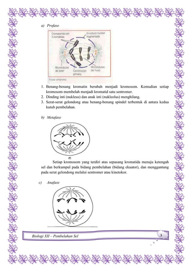 Lks wesi -pembelahan sel- | DOCX