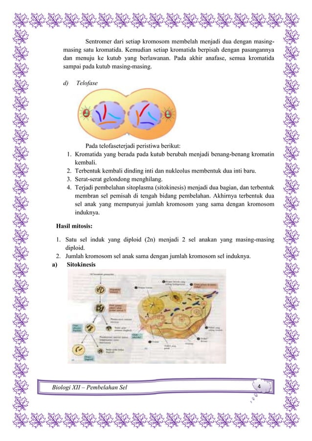 Lks wesi -pembelahan sel- | DOCX