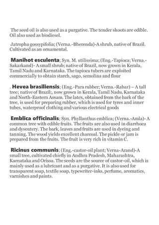 Economic importance of Malvaceae ,Solanaceae ,Euphorbiaceae and ...