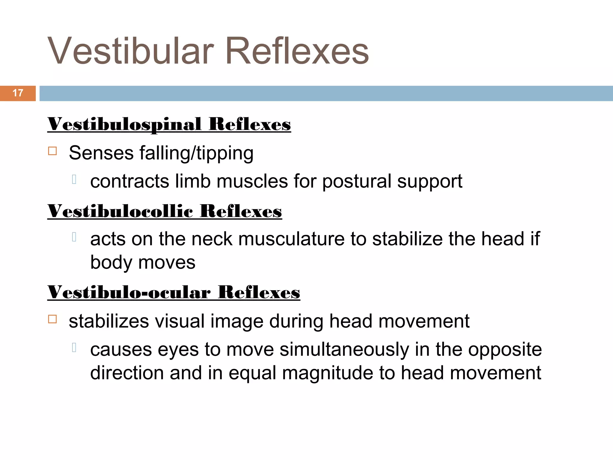 The Vestibular System | PPT