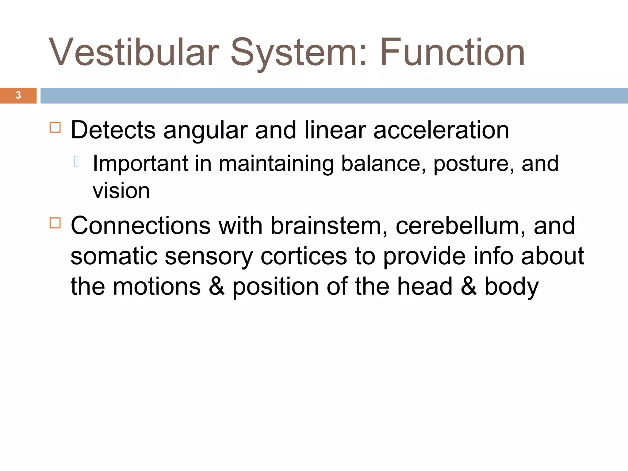 The Vestibular System | PPT
