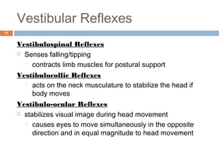 Vestibular Reflexes