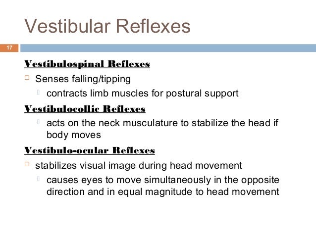 The Vestibular System