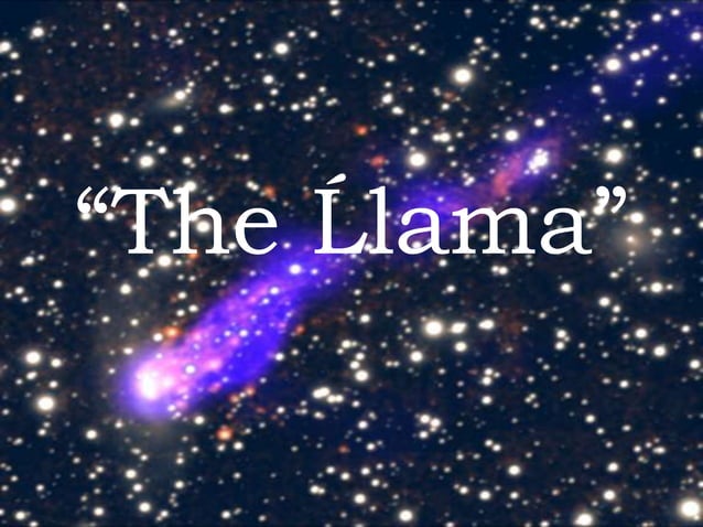 Llama | PPT