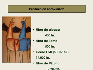Producción de LLamas Bolivia Zootecnia pptx | PPTX