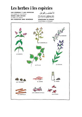 Llàmina vocabulari UD6 com fer la compra | PDF