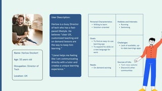 Llanai Buyer Persona & Segmentation Strategy | PDF