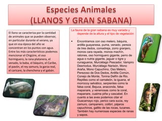 Llanos y gran sabana | PDF