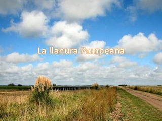 Llanura Pampeana