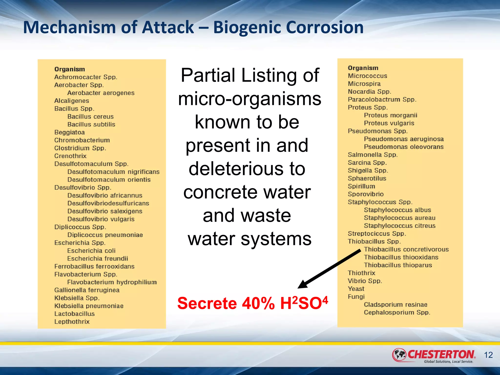The Challenges of Wastewater Structural Degradation and Mitigation ...