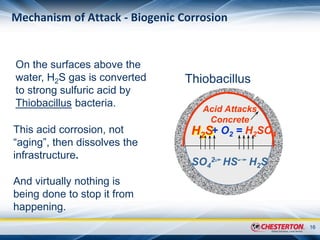 The Challenges of Wastewater Structural Degradation and Mitigation ...
