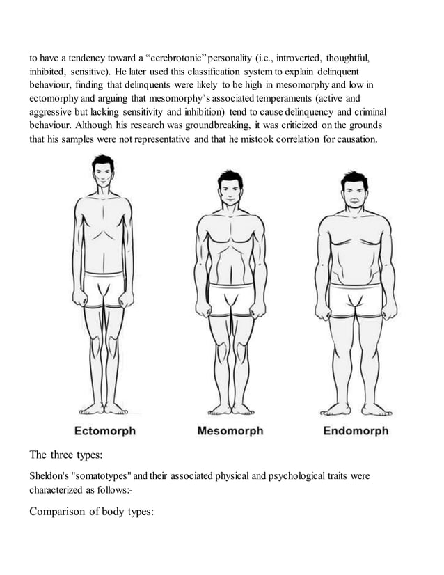 Body Type of Theory / William Sheldon's Theory / Biological Theory ...
