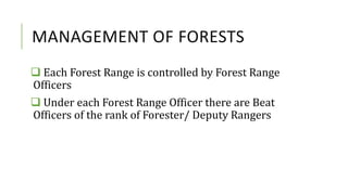 Conservation of Forests: National Context | PPTX