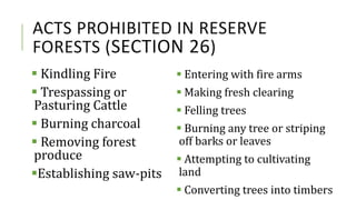 Conservation of Forests: National Context | PPTX