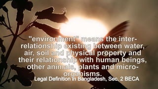 Introduction to Law, Environment and Sustainable Development | PPTX