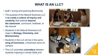 Life in the LLC! | PPTX