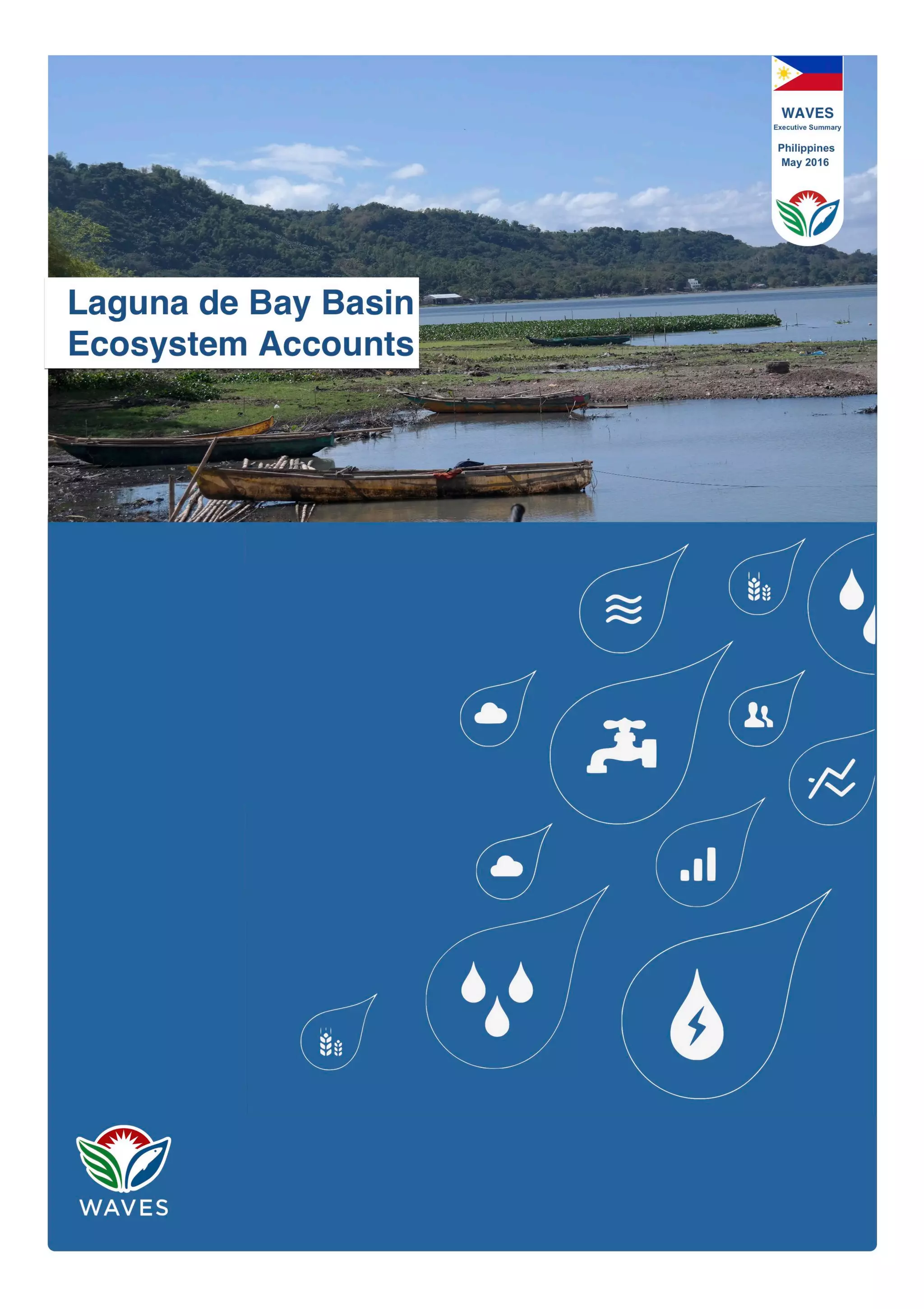 Laguna de Bay Basin Ecosystem Accounts | PDF | Geography | Science