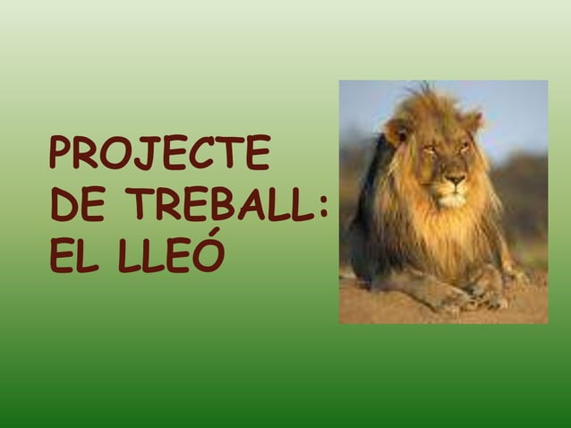 PROJECTE DE TREBALL:EL LLEÓ | PPTX
