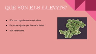 Llevats | PPT